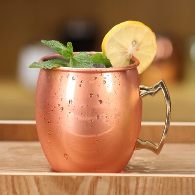 Copper mule stainless steel cocktail mug